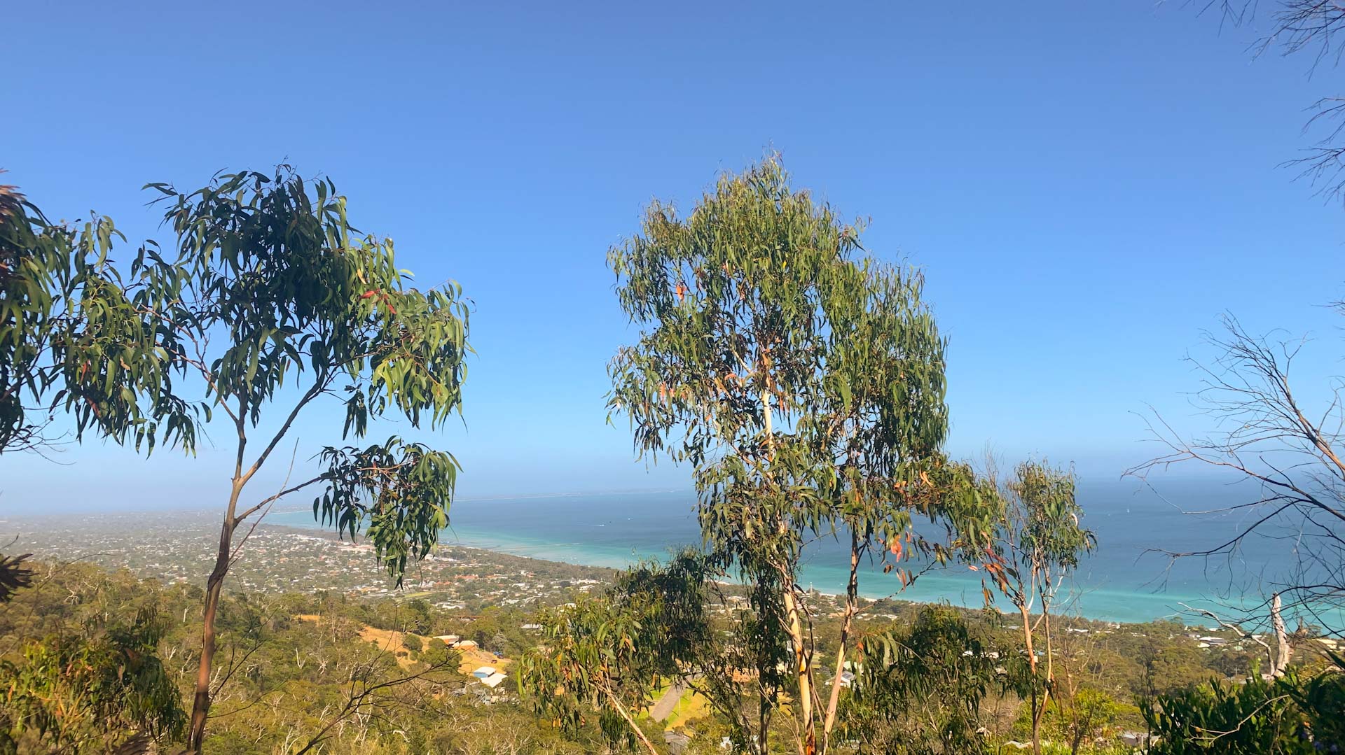 Two Bays Trail Run 2019 - a few KM too far - Ross Poulton